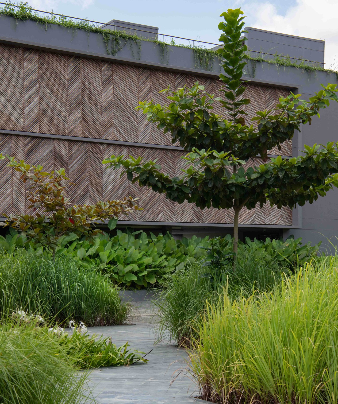 Saptha Resort & Spa | Stapati